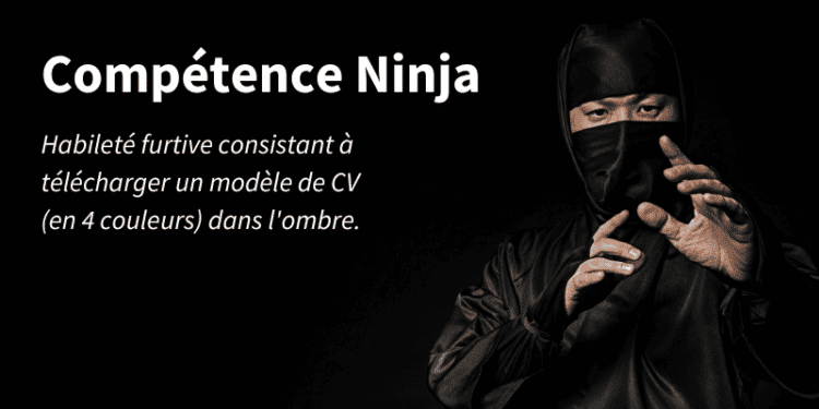 Modèle de CV gratuit et efficace à télécharger