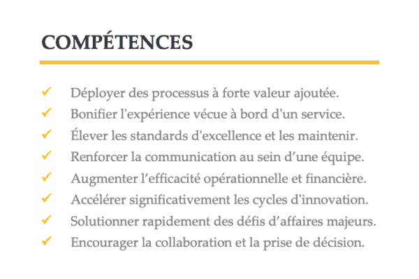 Rédiger des compétences uniques dans ton CV [avec exemples]