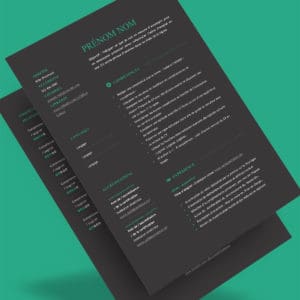 Modèles de CV pour le Québec